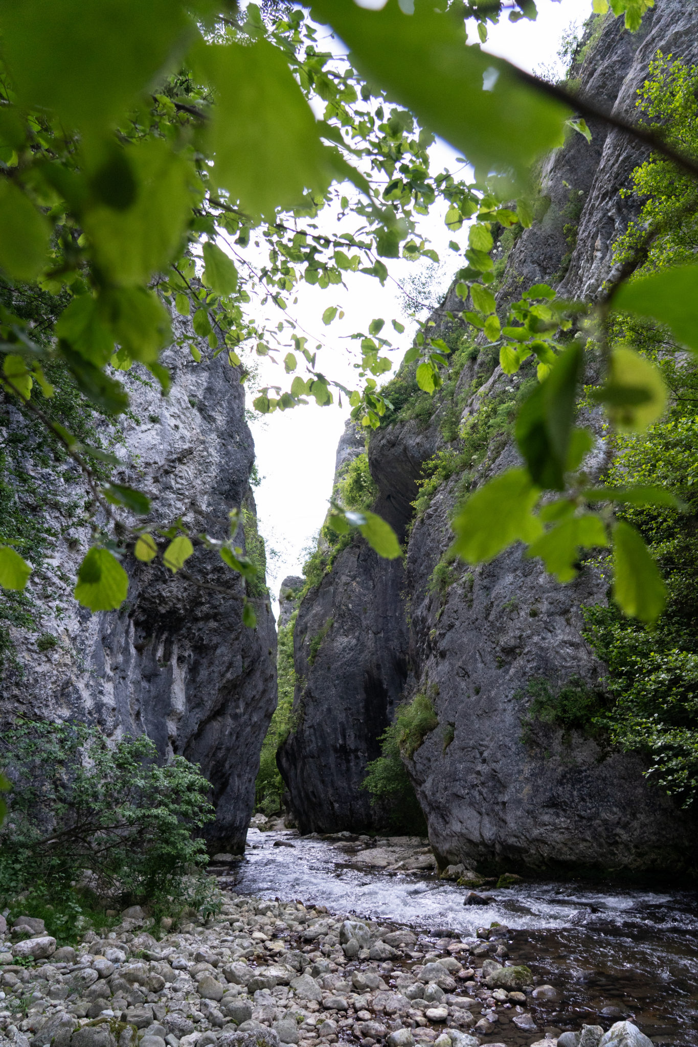 Découvrez la Cascade Blanche et la Cascade Verte avec Remi Astegiano
